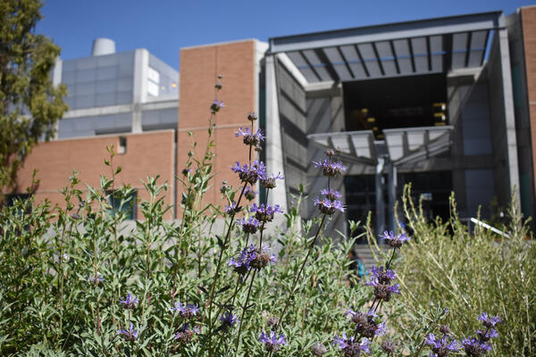 Bourns Hall Flowers | Department of Electrical and Computer Engineering